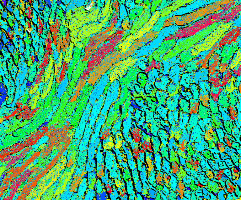 INNOVATION | The Functional Matrix Hypothesis Revisited. 5. Orofacial ...